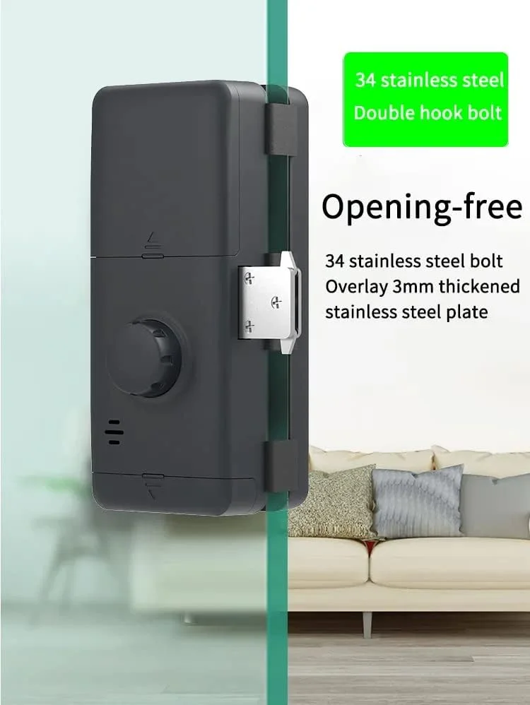 Frameless Remote Control Digital Sliding Swing Door Smart Lock for ...