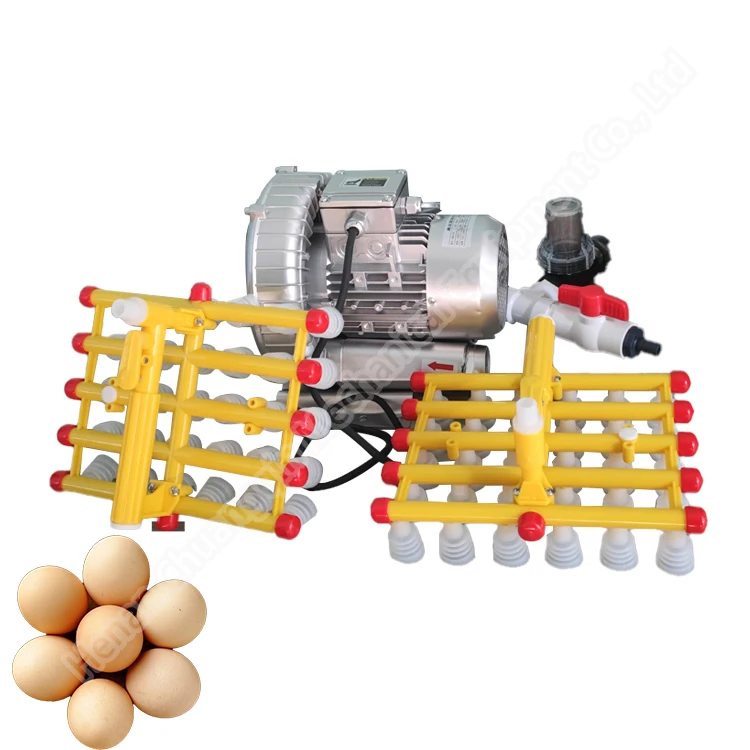 Egg Packer for Hatching Eggs Egg Candling Table and Transfer Machine ...
