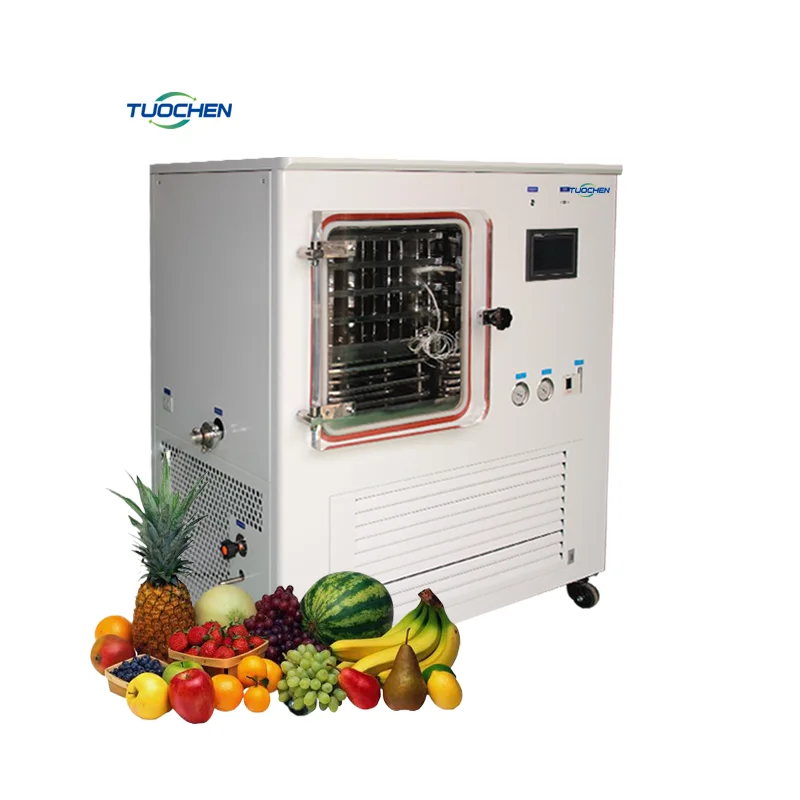Pilot Freeze Dryer Area Hydraulic Mode Vacuum Freeze Dryer For Lab/food ...