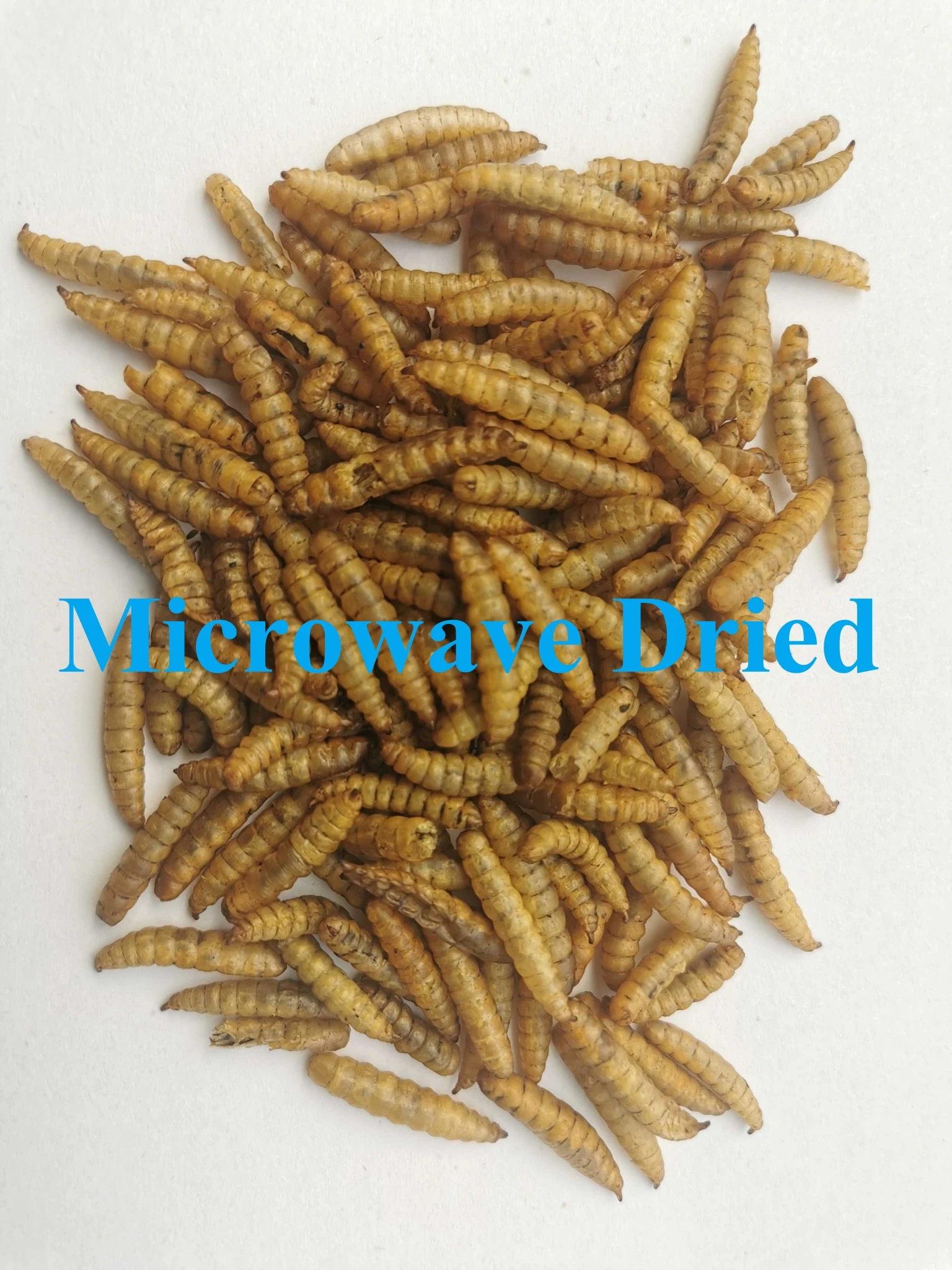 Microwave Black Soldier Fly Larvae Drying Machine Maggot Microwave ...