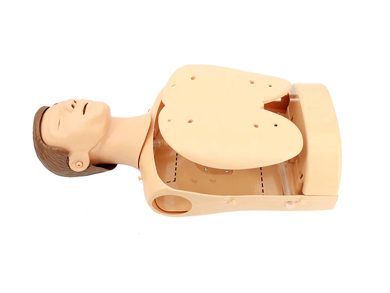 Half Body CPR Training Manikin - Medical Simulation Dummy