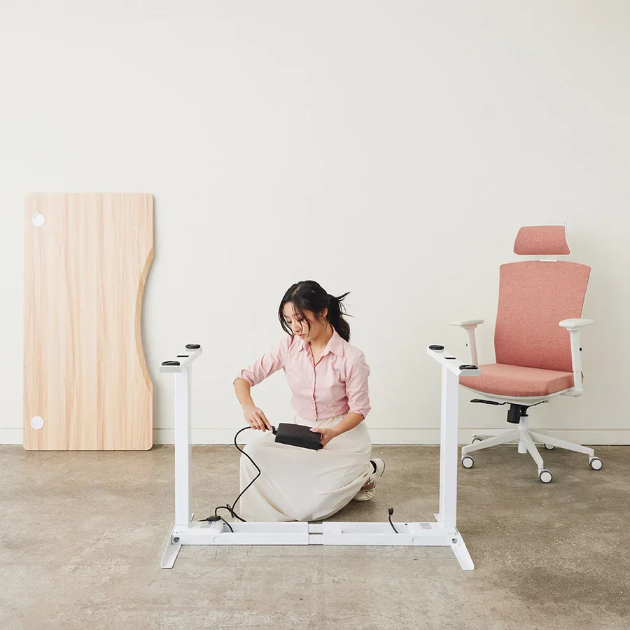 Dual Motor 2 Stage Electric Motorized Sit Stand Desk Height Adjustable ...