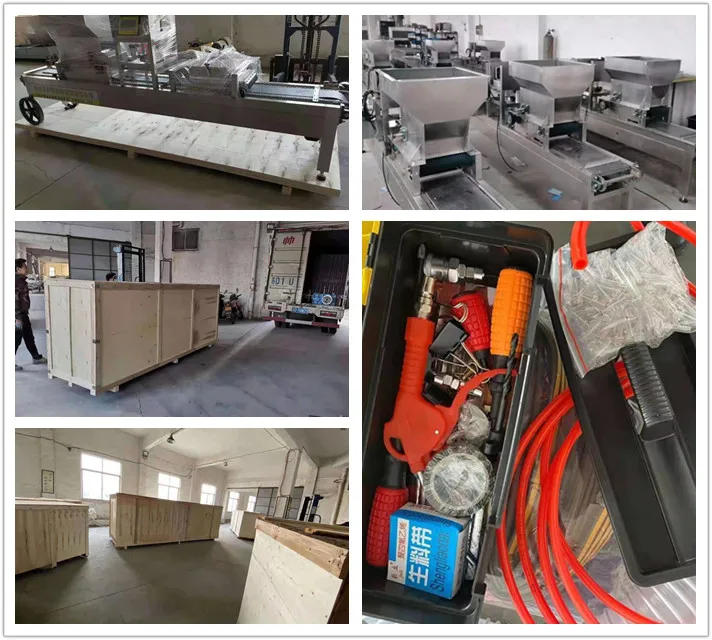 Auto Tray Seeding/sowing Machine Seeder Sower Tray Vegetable Seeder ...