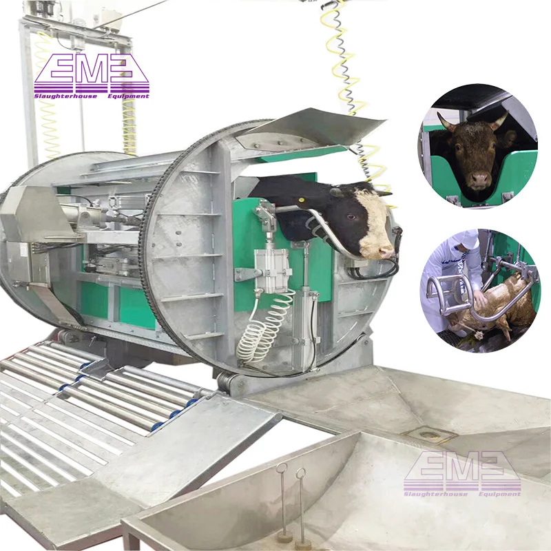 40-50cattle Per Day Abattoir Slaughterhouse Layout And Quotation - Buy ...