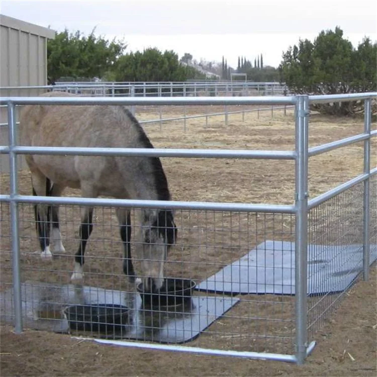USA 12 FT Powder Coated/galvanized Livestock Cattle Panels