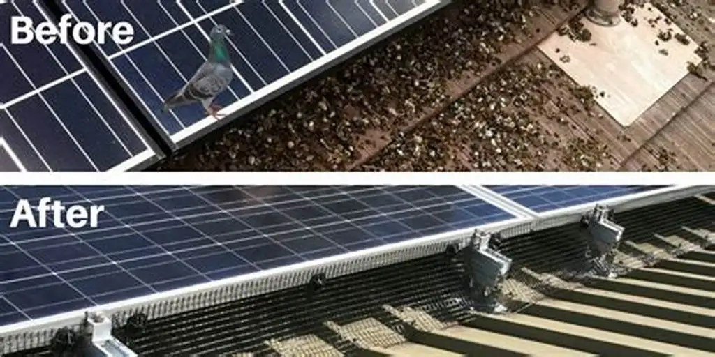 8" Pvc Coated Wire Mesh Solar Panel Mesh For Pigeon Guards Proofing ...