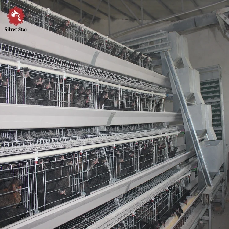 Enriched Colony System Poultry Chicken Cage Laying Hens - Buy Poultry ...