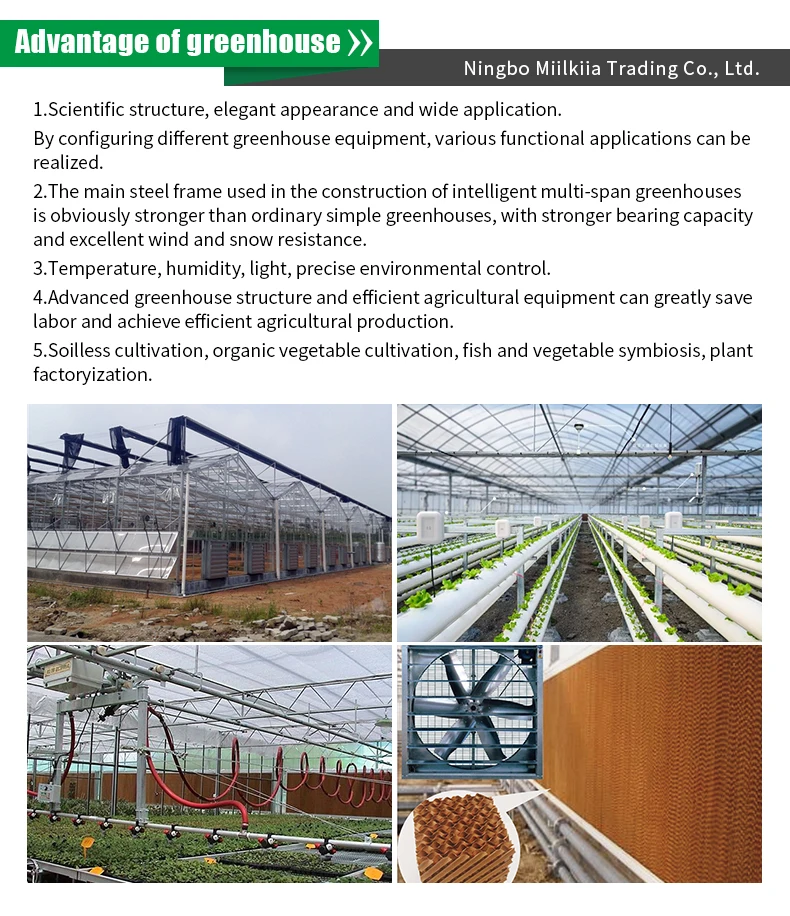 Greenhouse Pvc Hydroponic Planting Square Tube 75*50 Soilless Culture ...