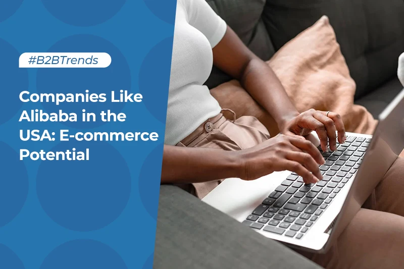 Companies Like Alibaba in the USA: E-commerce Potential