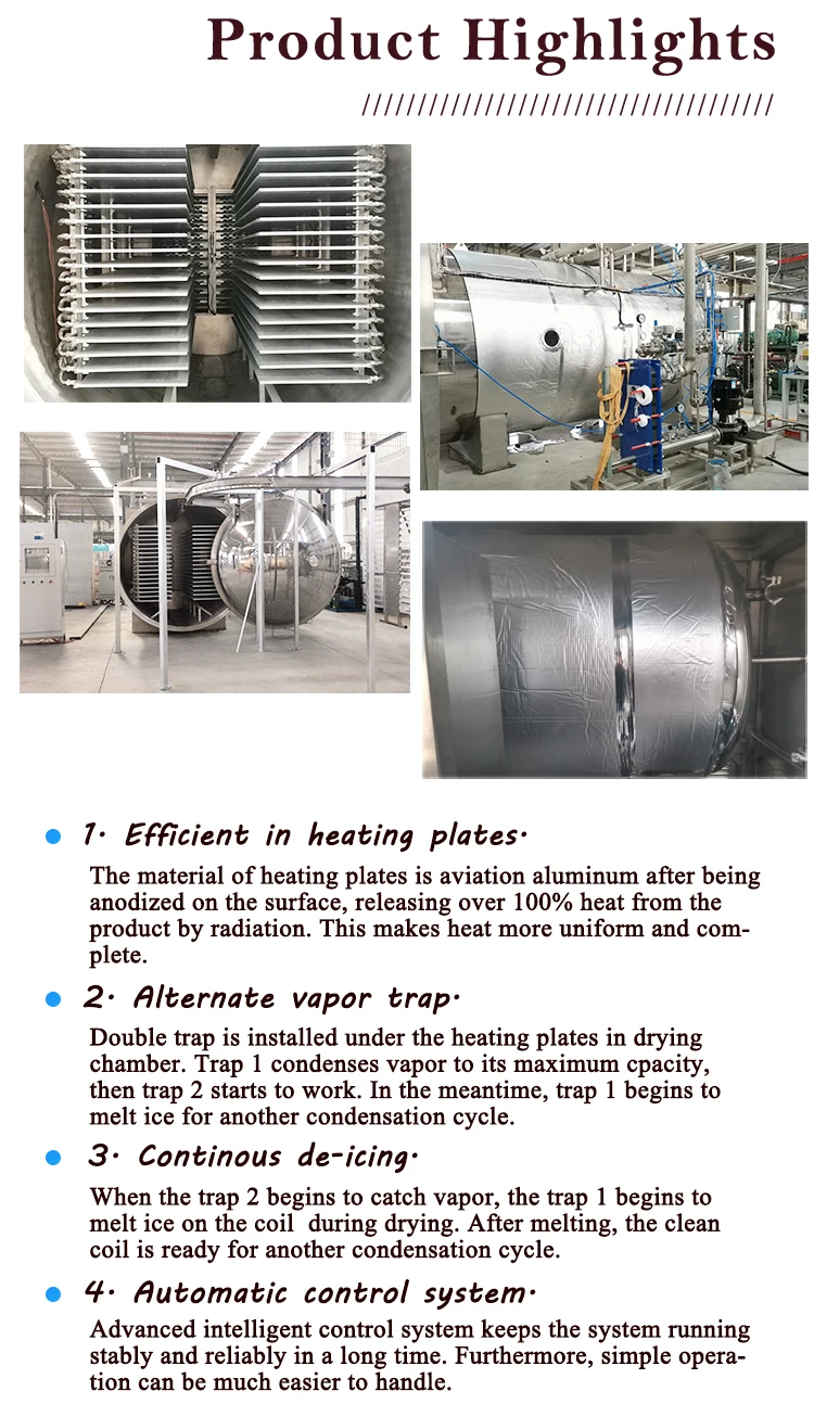 TCA Automatic Coffee Lyophilizer - High Productivity