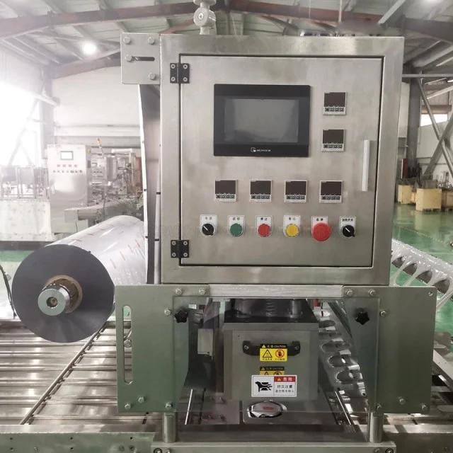 Automatic Meat Packing Machine - High Accuracy & Efficiency