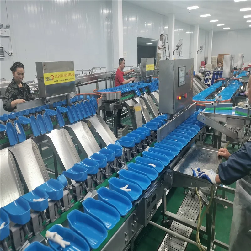 Poultry Classification Size And Grade Machine Chicken Claw Automatic ...