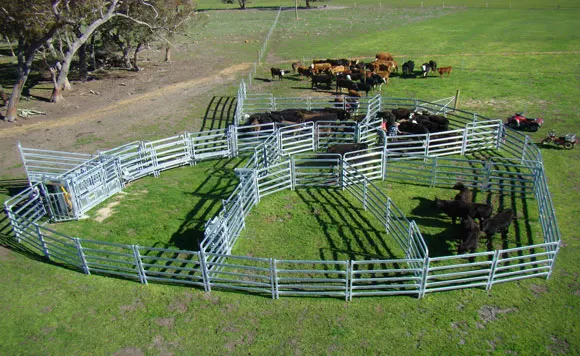 Portable Galvanized Stockyard Cattle Feeder Panels 20 Foot Cattle ...