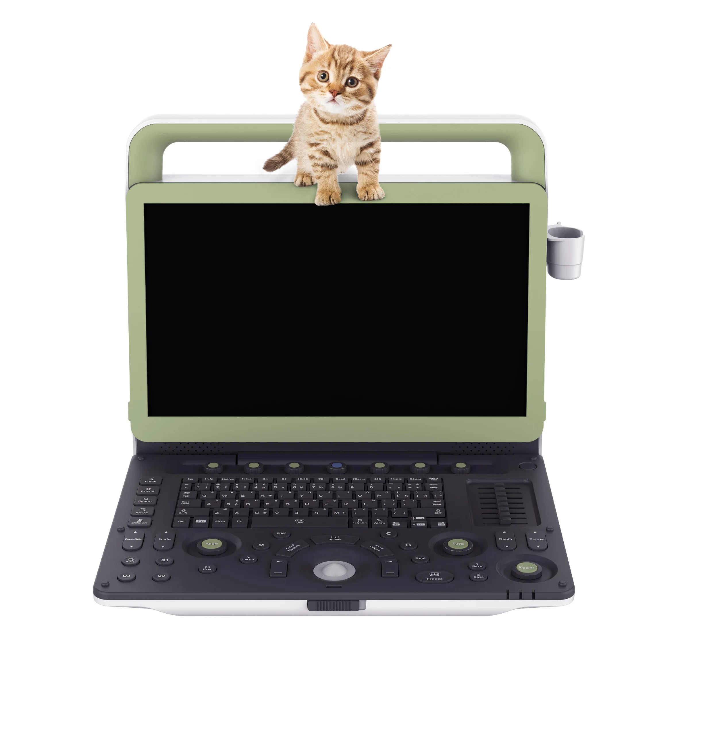 Color Doppler Ultrasound for Gyne and Obs - 4D Pregnancy