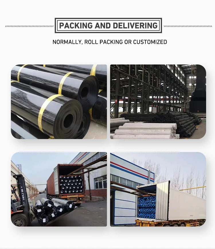 Tilapia Plastic Terpal Kolam Circular Fish Farming Pvc Water Biofloc ...