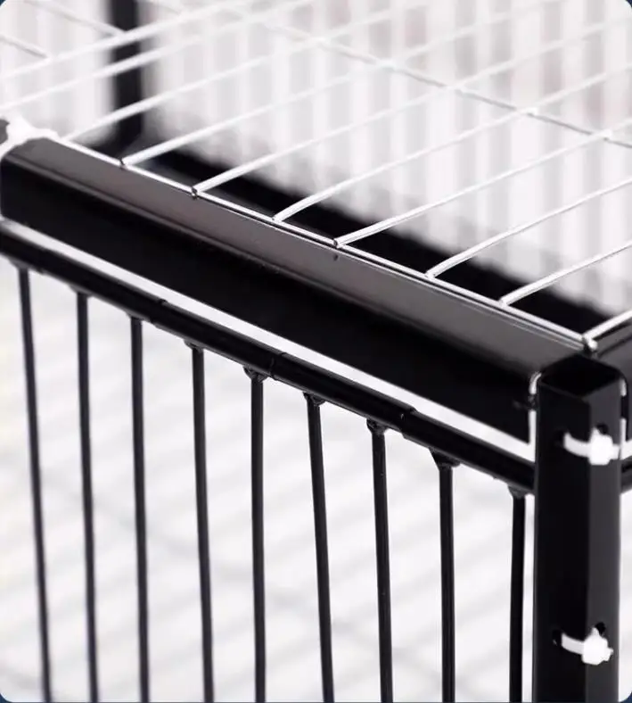 Foldable Galvanised Pigeon Bird Trap Cage - Humane Trapping