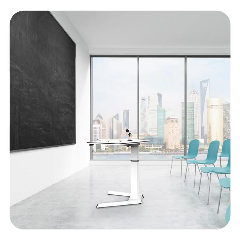 ZGO Electric Height Adjustable Desk - Perfect for Students