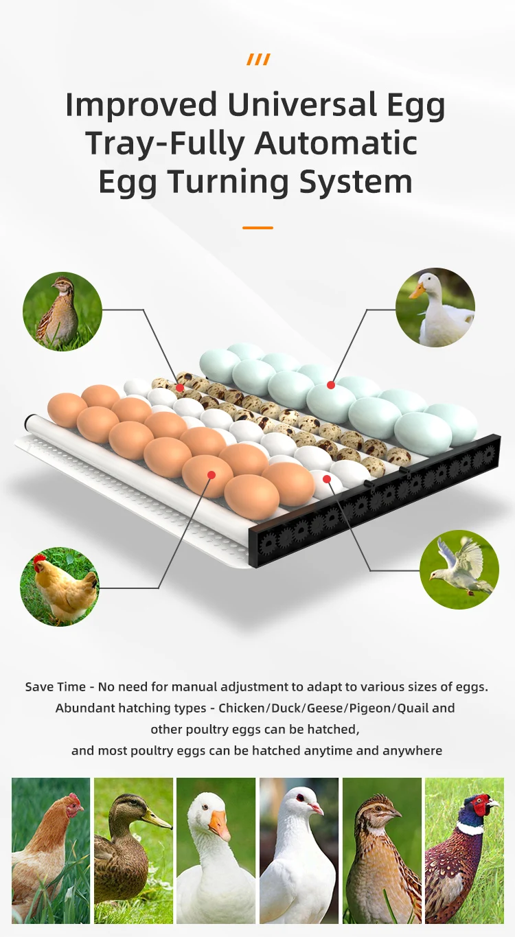 64 Eggs Incubator Automatic Temperature And Humidity Control Egg ...