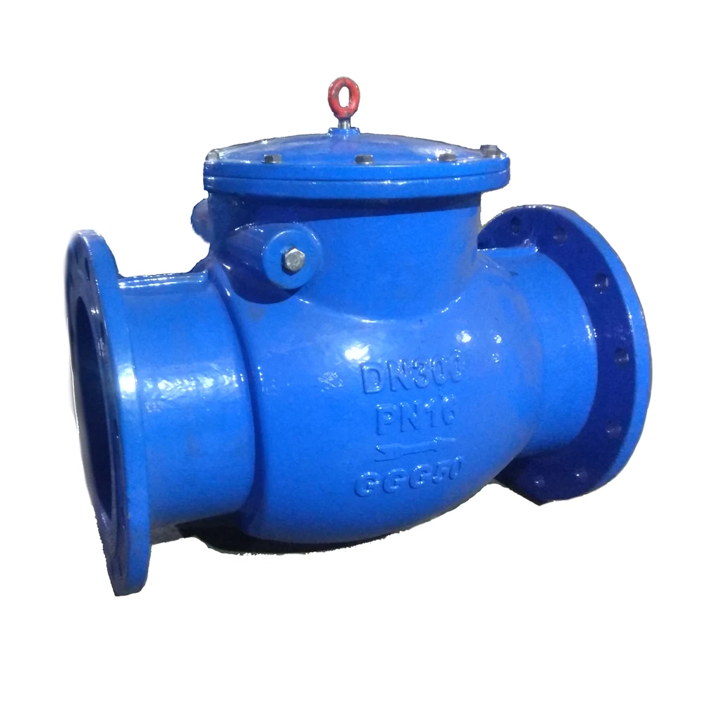 Dn300 Ductile Iron Swing Check Valve - Buy Dn300 Swing Check Valve ...