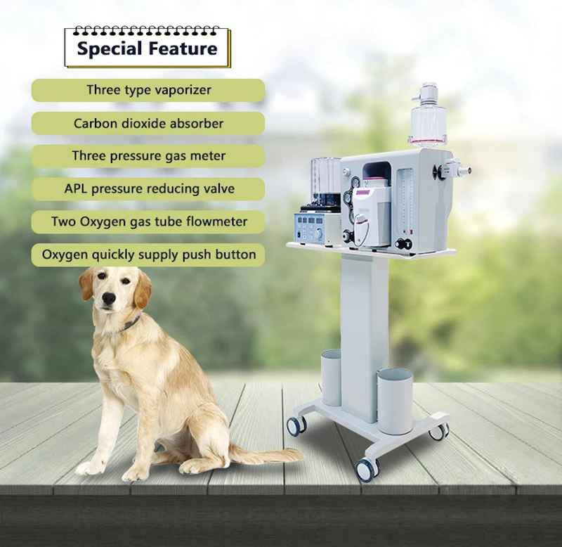 Hospital Veterinary Anesthesia Machine Vet Pet Clinic Anesthesia ...