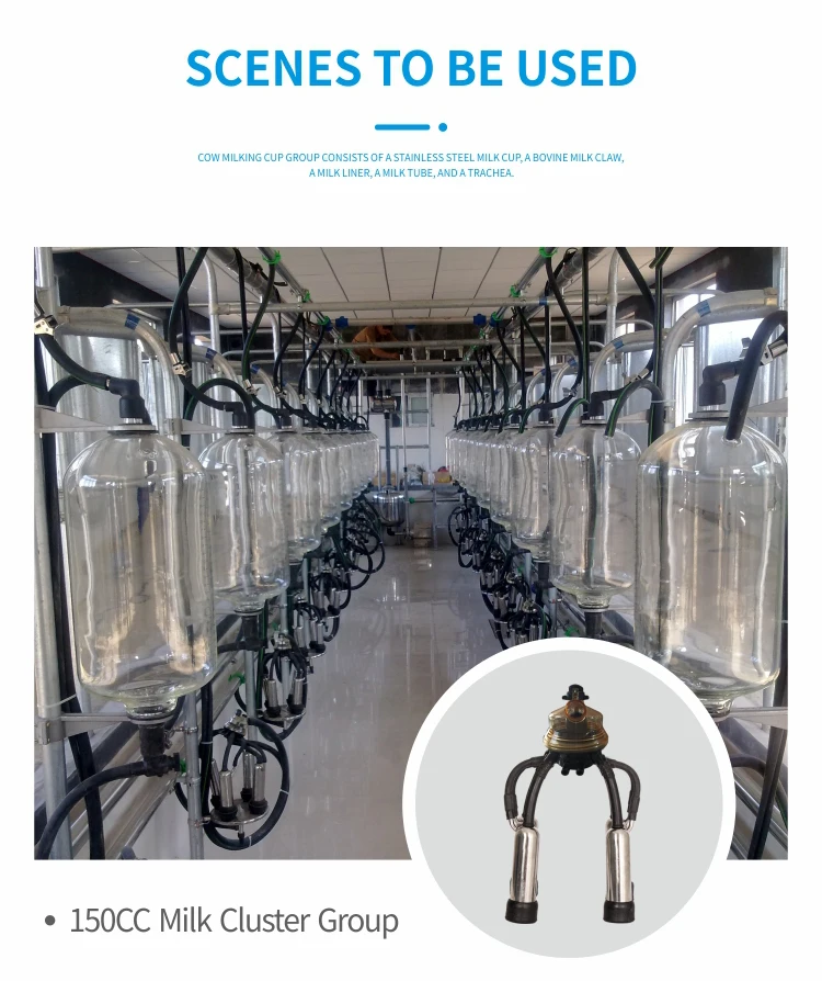 300CC Milk Claw Milking Cluster Group for Dairy Farms