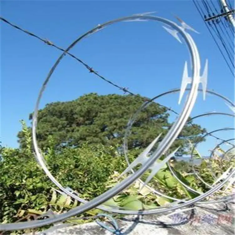 Ukrainian Razor Barbed Wire BTO-16 Concertina Blade Coil Diameter 110 ...