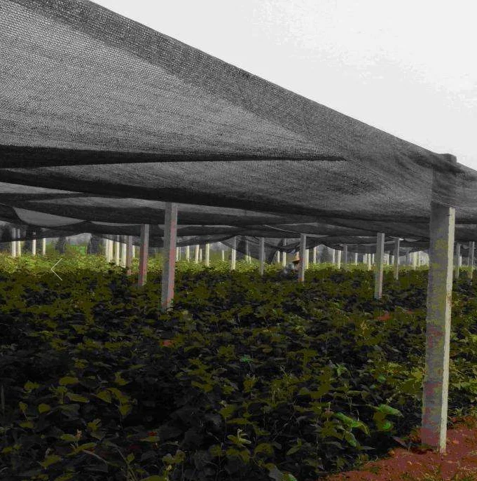 Car Shade Net Shade Net 200g Shade Net Support Yiwu Shade Netting Shade ...