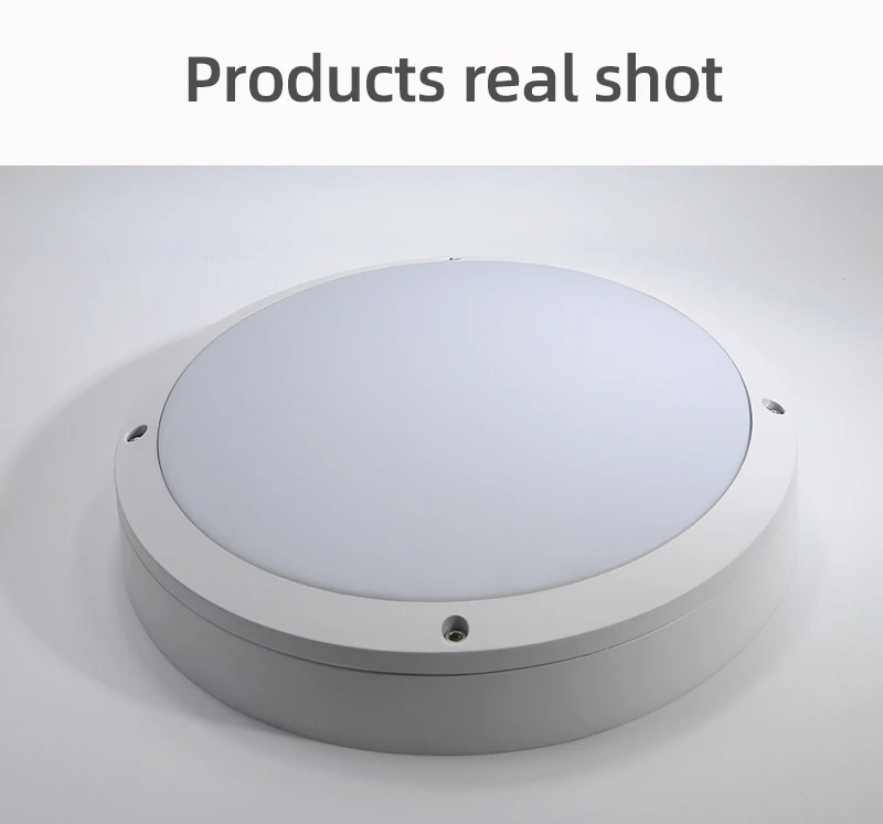 Aluminum IP65 Outdoor Moisture-Proof Balcony Ceiling Light