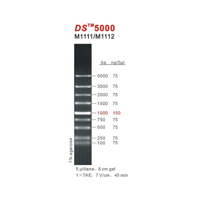 DS5000, 5000bp, 5kb, DNA Marker ladder, OEM| Alibaba.com