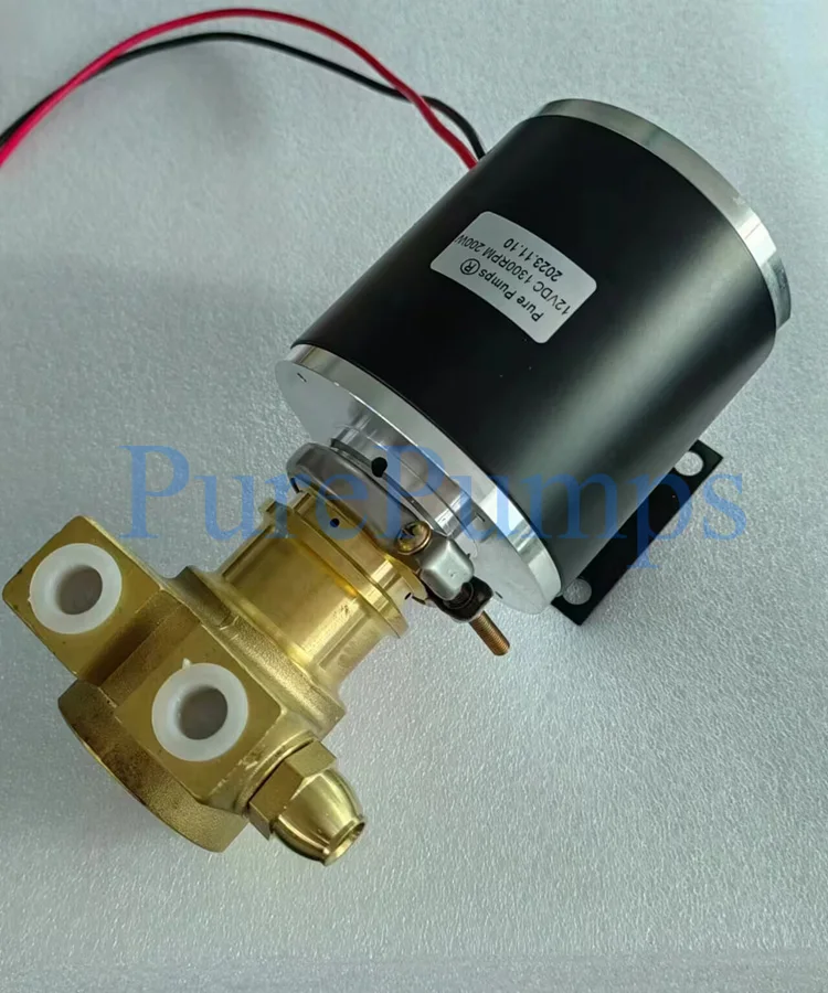 12V Motor Stainless Steel Rotary Vane Impeller Pump
