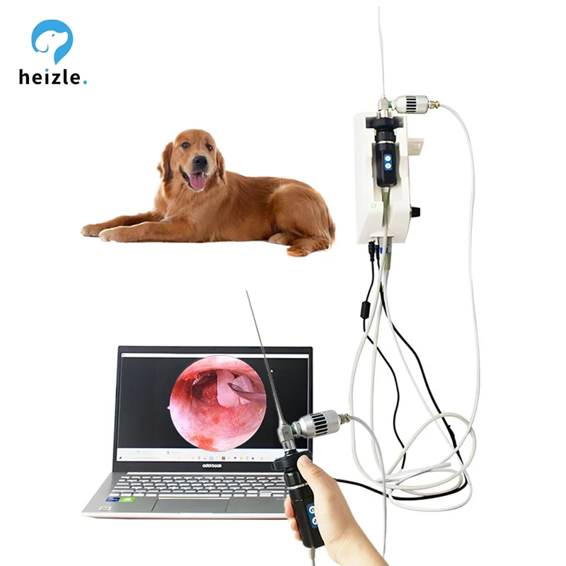 Heizle Medical Digital Surgical Diagnosis Endoscope Camera System ...
