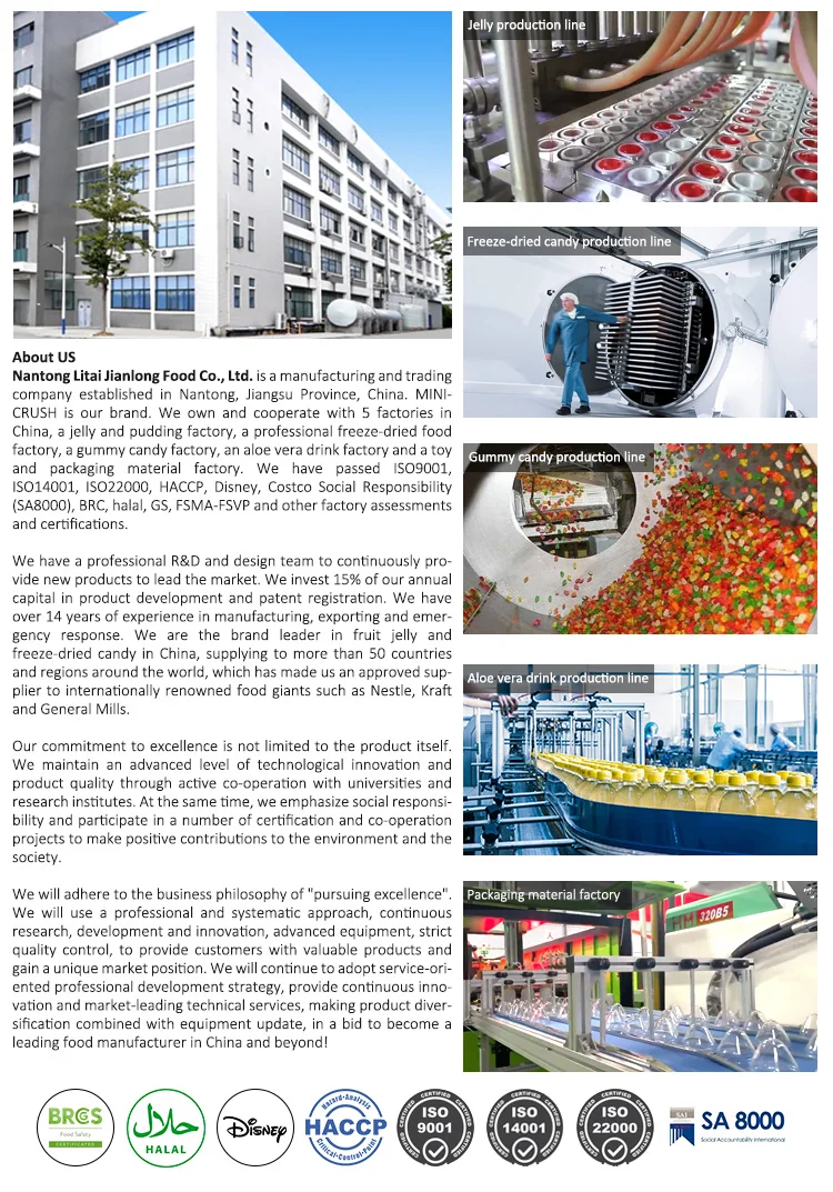 Freeze Dried Fruity Rainbow Bursts Candies MINICRUSH OEM Marshmallow ...