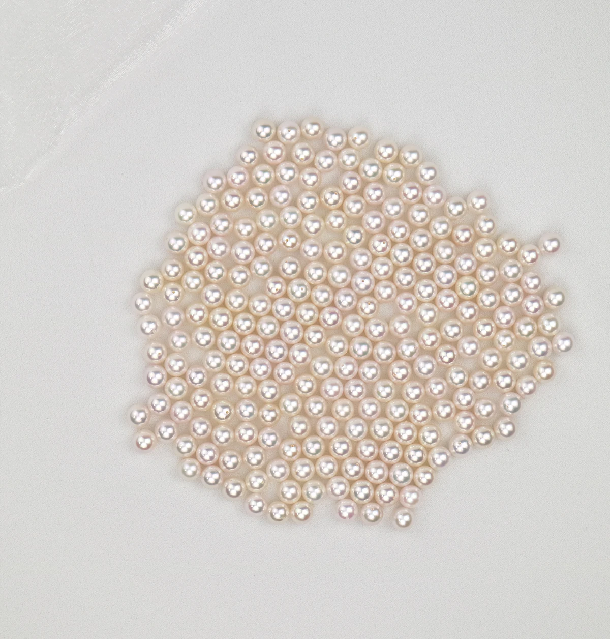 Wholesale Japanese Akoya Pearls - High Quality & Luster