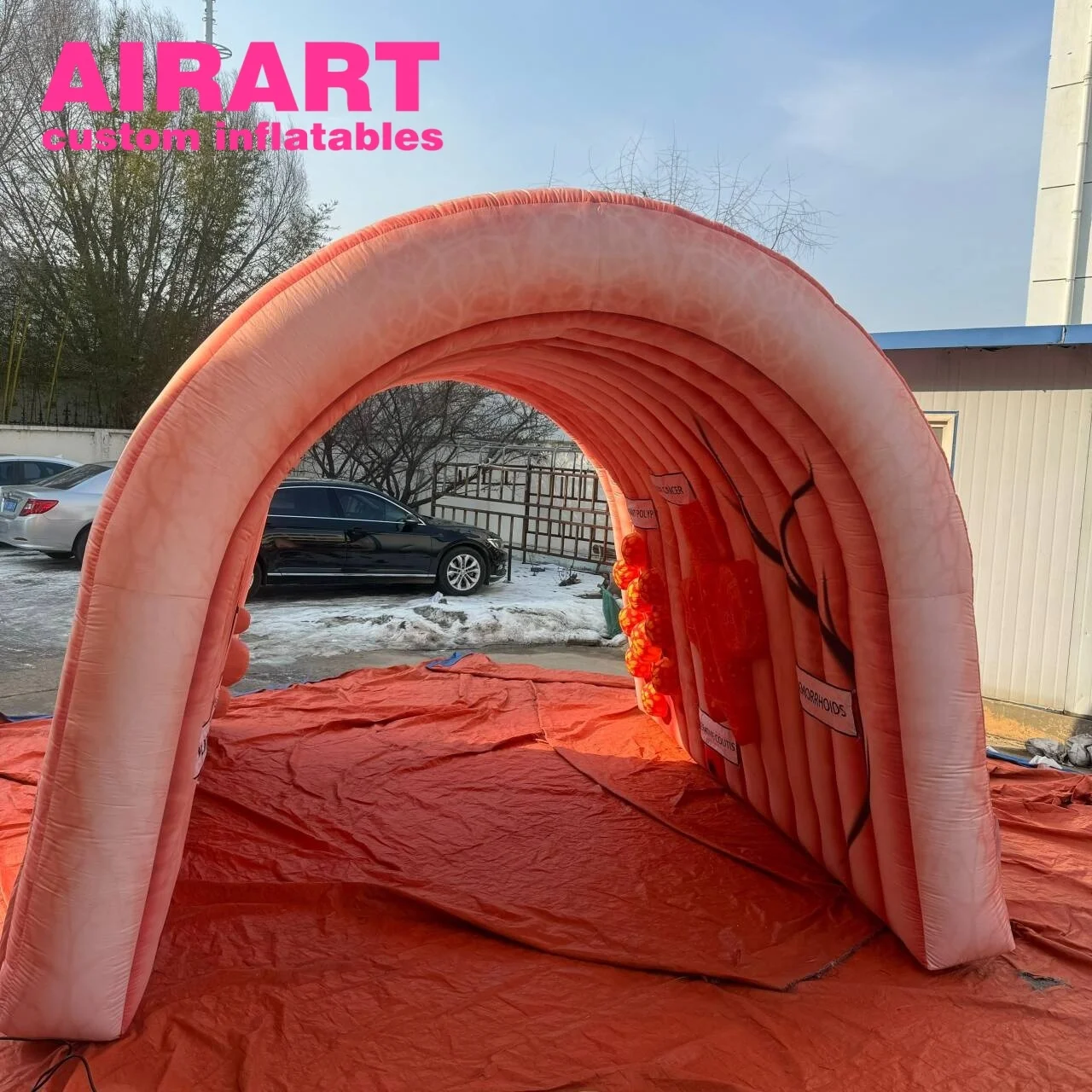 Large Intestine Inflatable Model For Medical,Mega Colon Inflatables ...