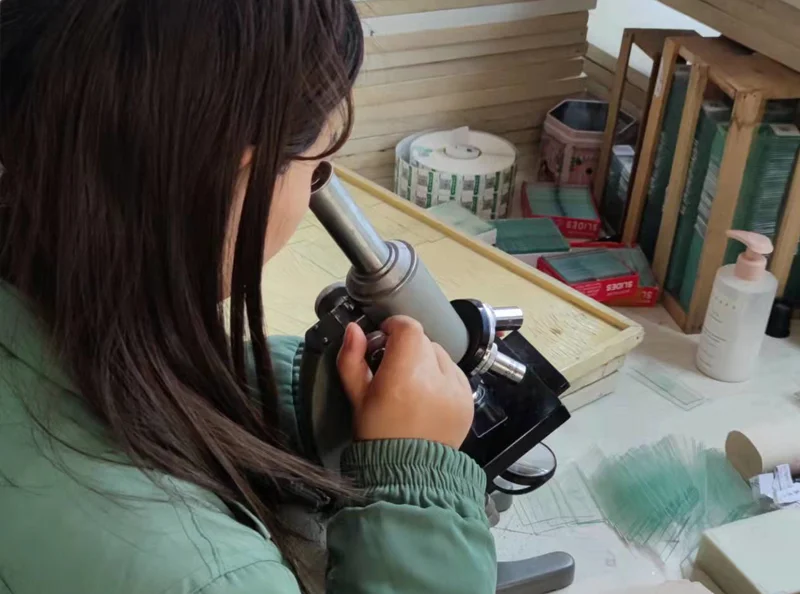 50x Magnification Skin Specimen Human Skin Tissue Structure Anatomical ...