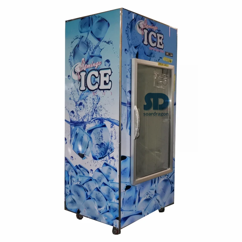 Soardragon Glass Door Display Bagged Ice Storage Bin Freezer for ...