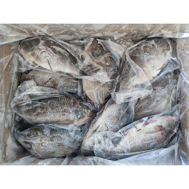 Chinese Tilapia Farming Fish Poisson Tilapia Fish Price Per Kg Frozen ...