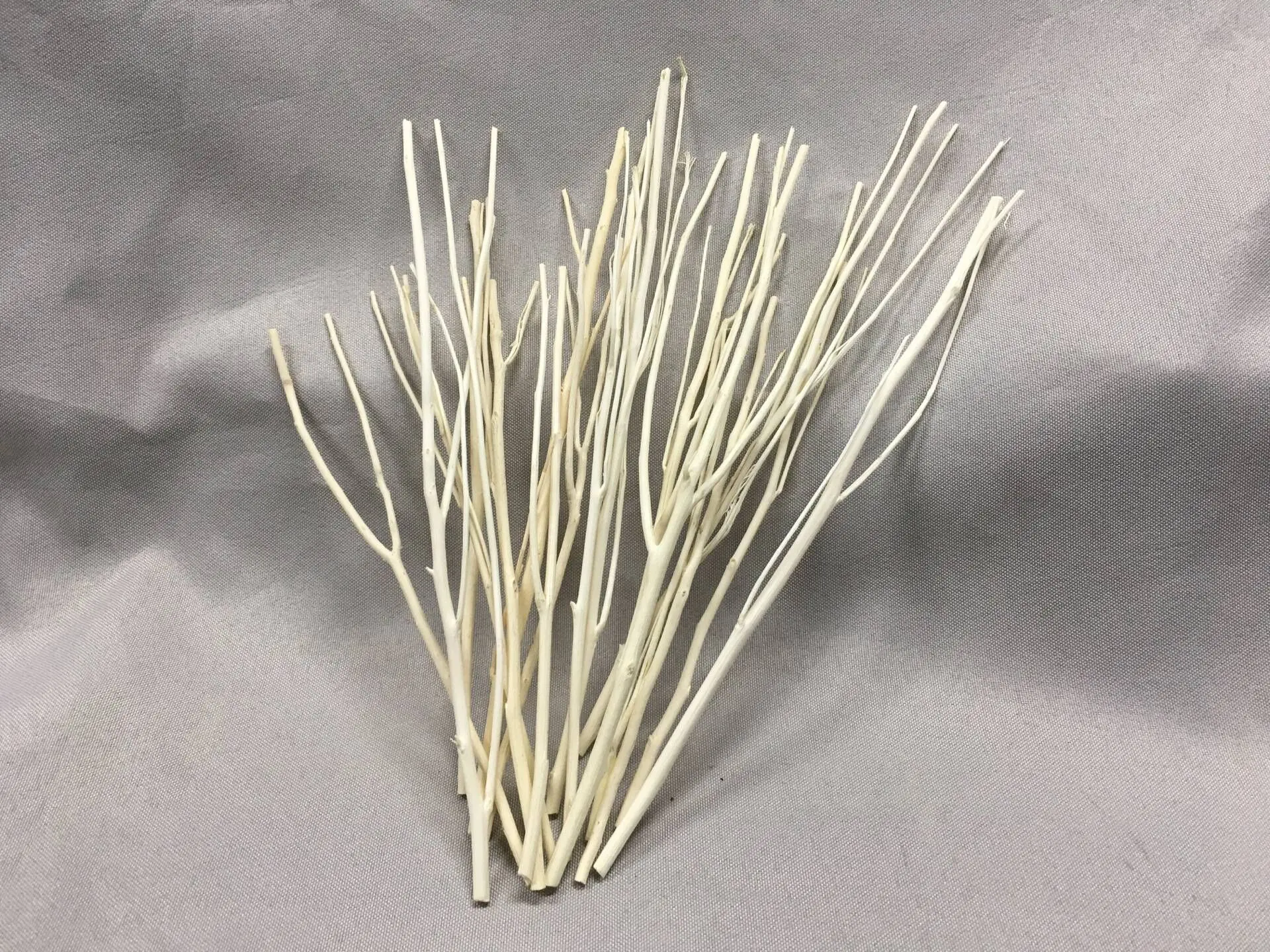 Natura Curly Willow Dried Pampas Branches Dried Curly Willow Branches ...