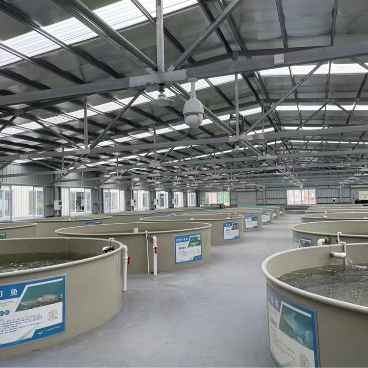 Aquaculture Equipment Fish Farming System Indoor Ras Fish Farm Mini ...