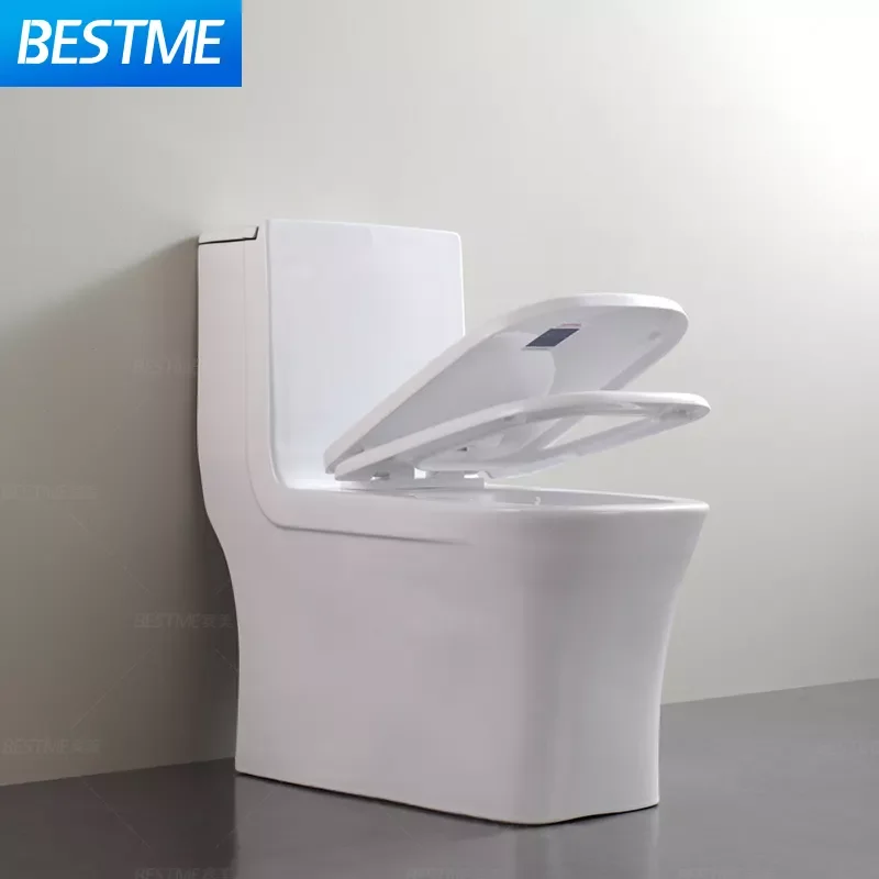 Elongated Toilet Seat - Floor Mounted Water Closet WC