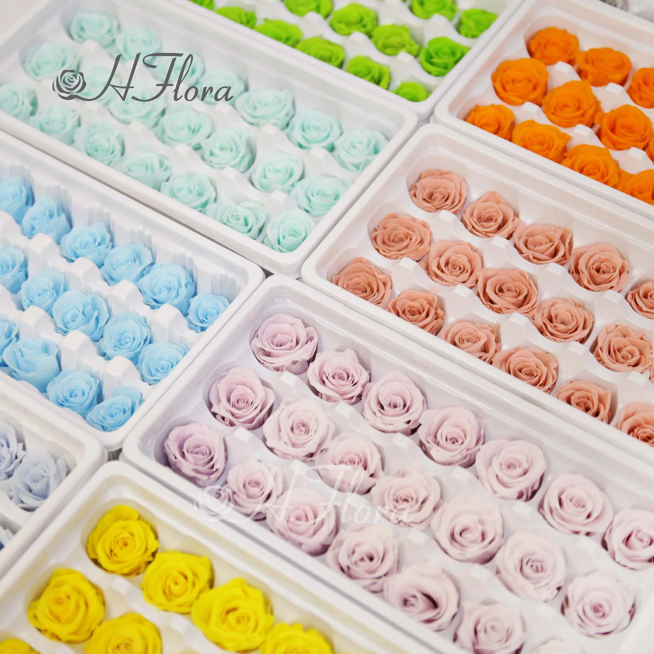 Hflora 2-3cm Eternal Rose - Preserved Flower Head for Valentine's Day