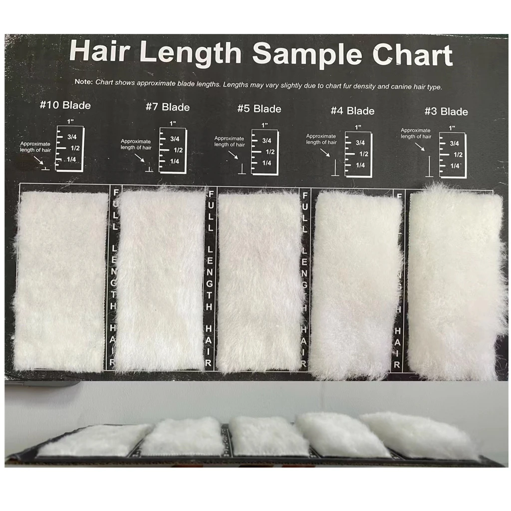 Aeolus Hair Length Sample Chart - Sustainable Grooming Tool