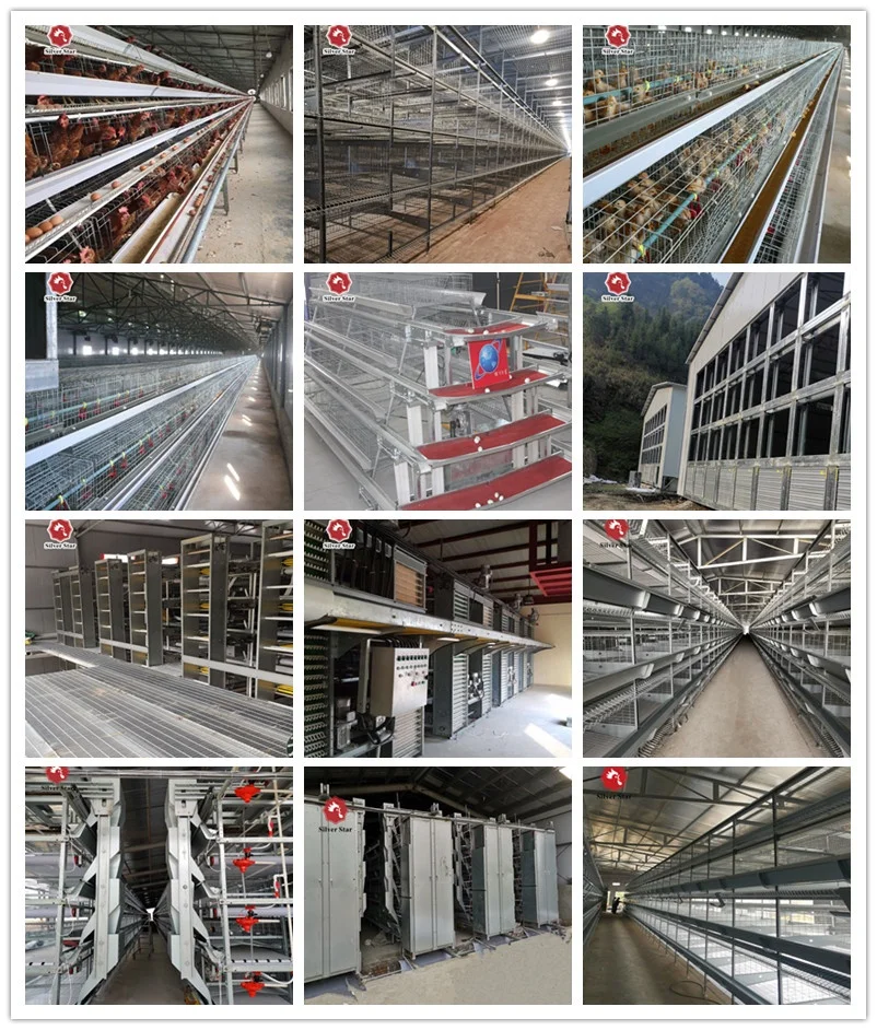 Enriched Colony System Poultry Chicken Cage Laying Hens - Buy Poultry ...