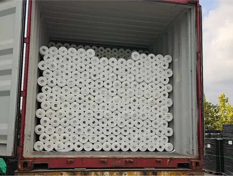 Agricultural Multi Plastic Greenhouse Film - Durable & Eco-friendly