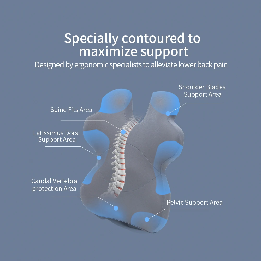 Lumbar Patented Ergonomic Multi Region Firm Back Support for Lower Back ...