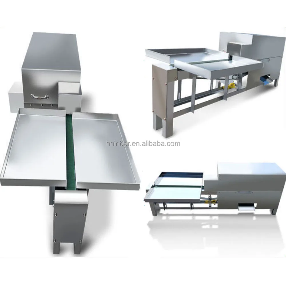 Stainless Steel Fish Gutting & Cleaning Machine | Water Purification OEM