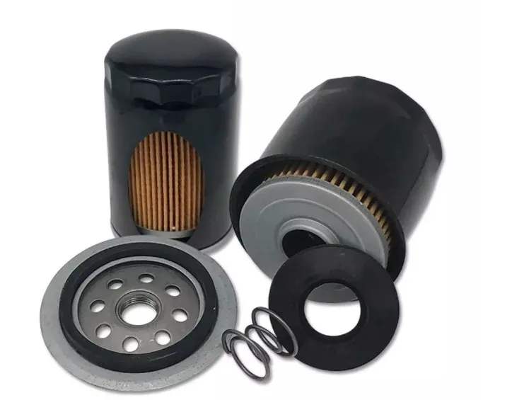 Auto Parts Fuel Filter Vsf-20226;164038815r;164039594r 319112e000 ...