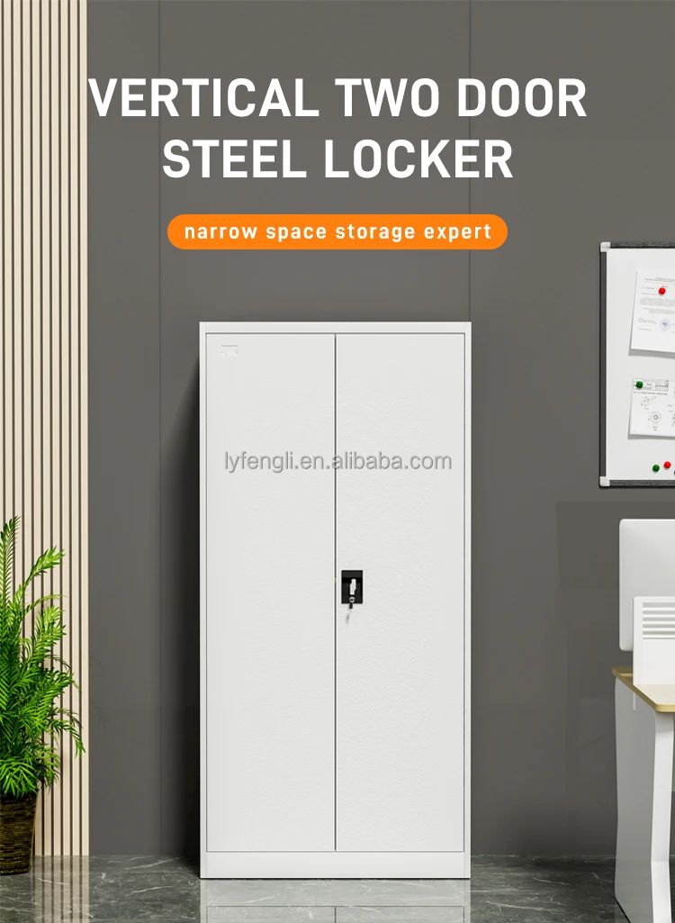 Modern 2-Door Lockable Steel Filing Cabinet Multi-Purpose Commercial ...