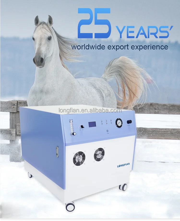 Psa System Large High Pressure Oxygen Generator 20 Liter 4 Bar Oxygen ...