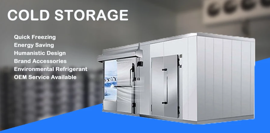 40ft Cold Storage Refrigerator Container for Sale -1 Year Warranty